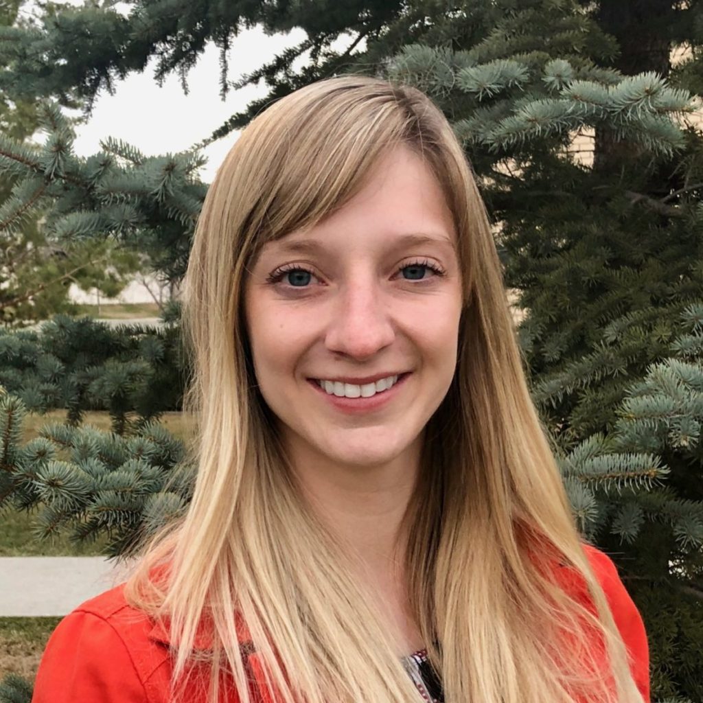 Crucible Approach (David Schnarch) Therapy model - Insight Psychological